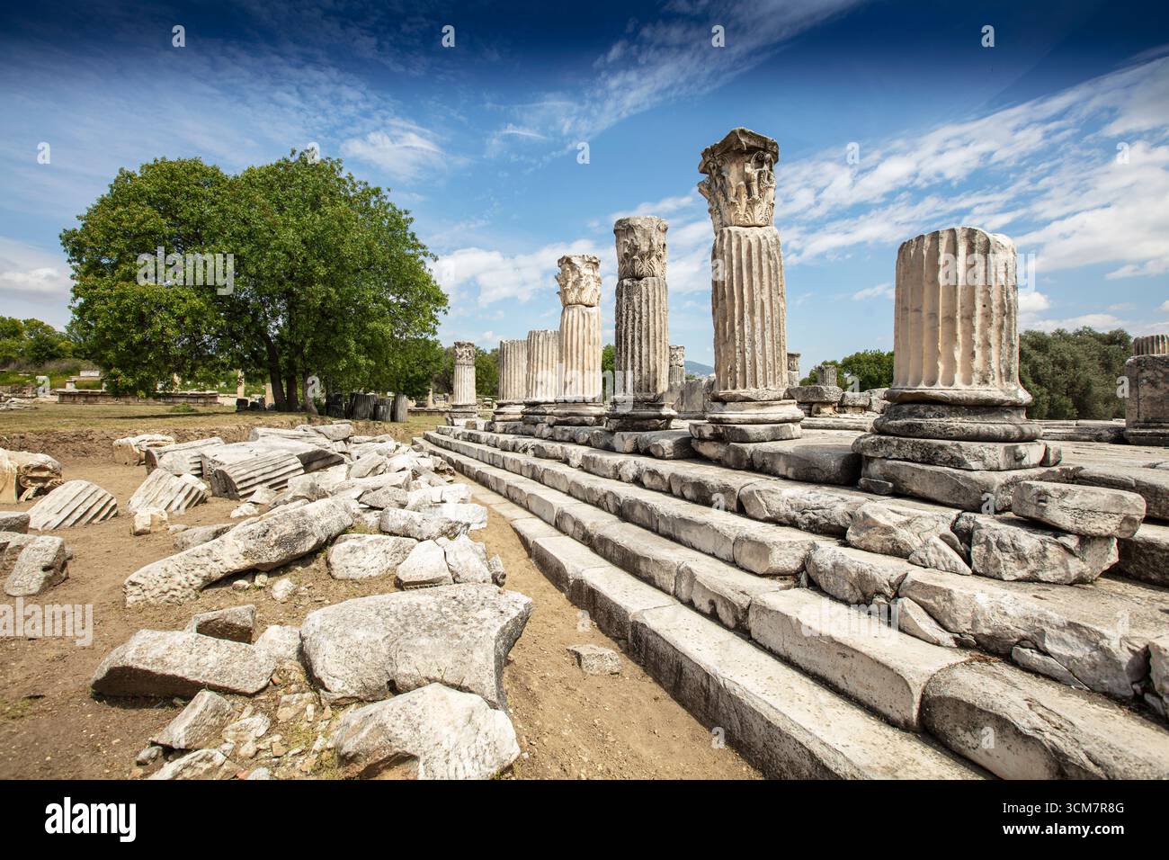 Ruins of the ancient sanctuary Lagina, Turkey Stock Photo - Alamy
