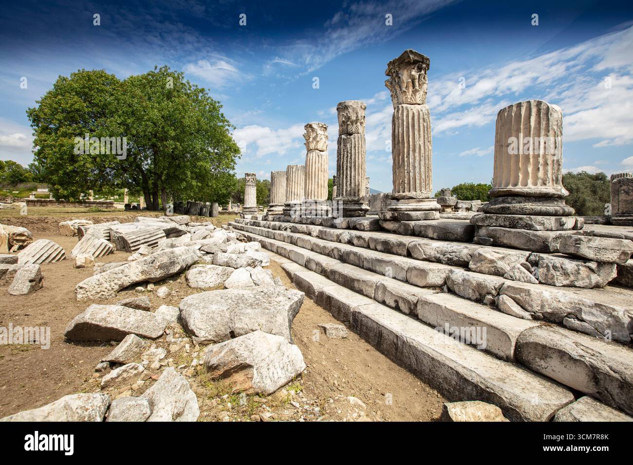Ruins of the ancient sanctuary Lagina, Turkey Stock Photo - Alamy
