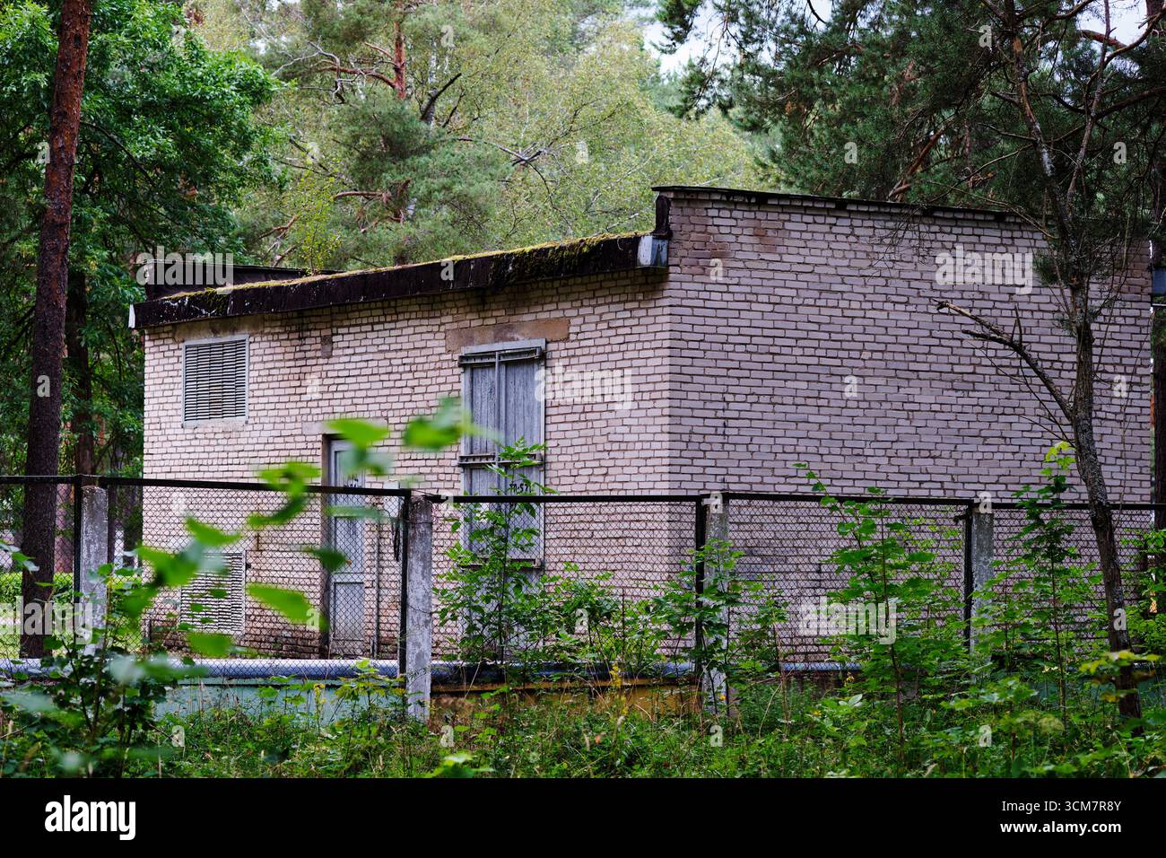 Crumbling brick building stands alone among lush greenery, revealing ...