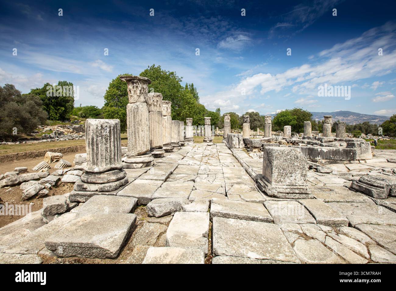 Ruins of the ancient sanctuary Lagina, Turkey Stock Photo - Alamy
