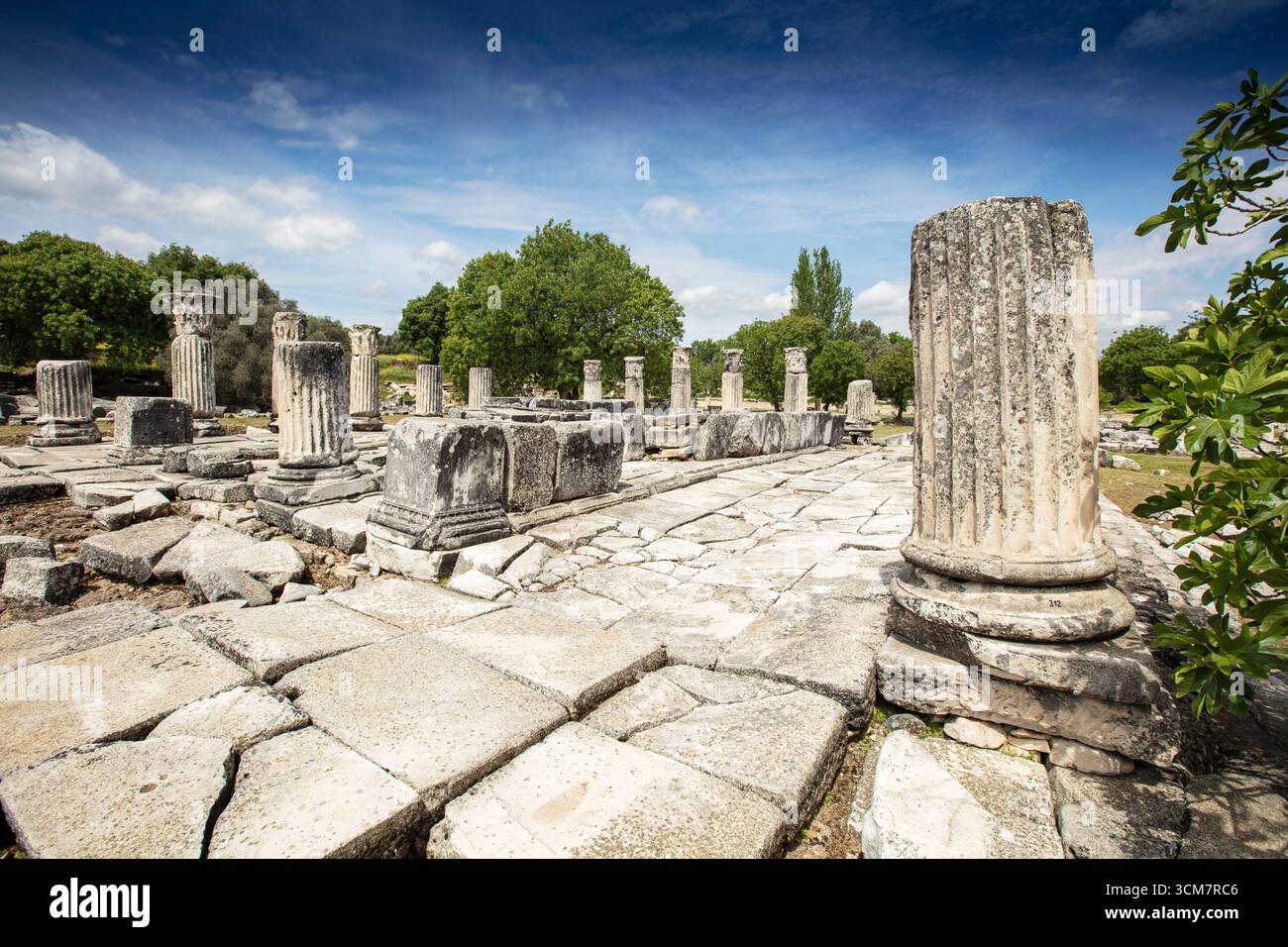 Ruins of the ancient sanctuary Lagina, Turkey Stock Photo - Alamy