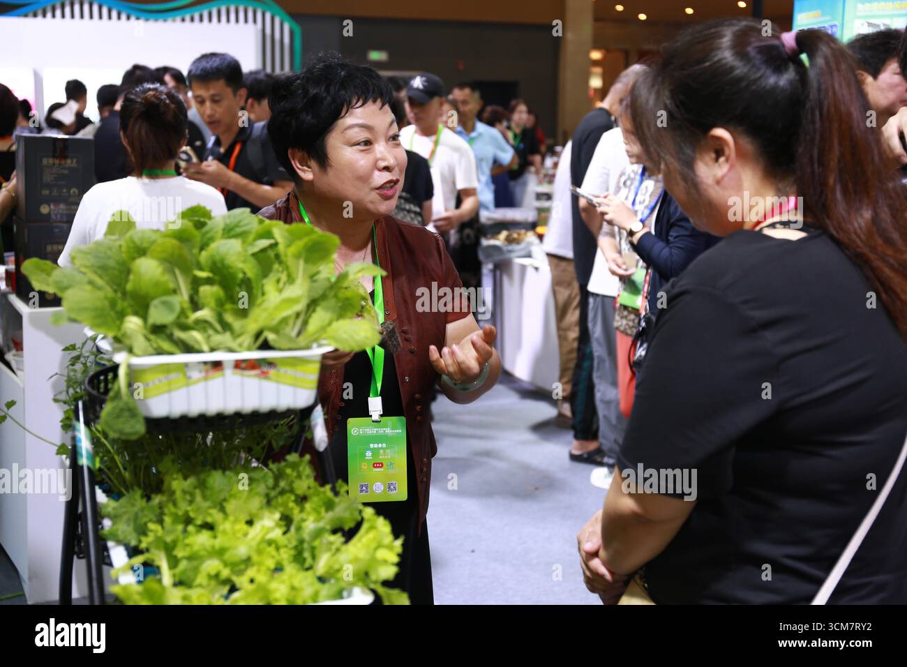 The 25th China (Shenyang) International Agricultural Expo opens in ...