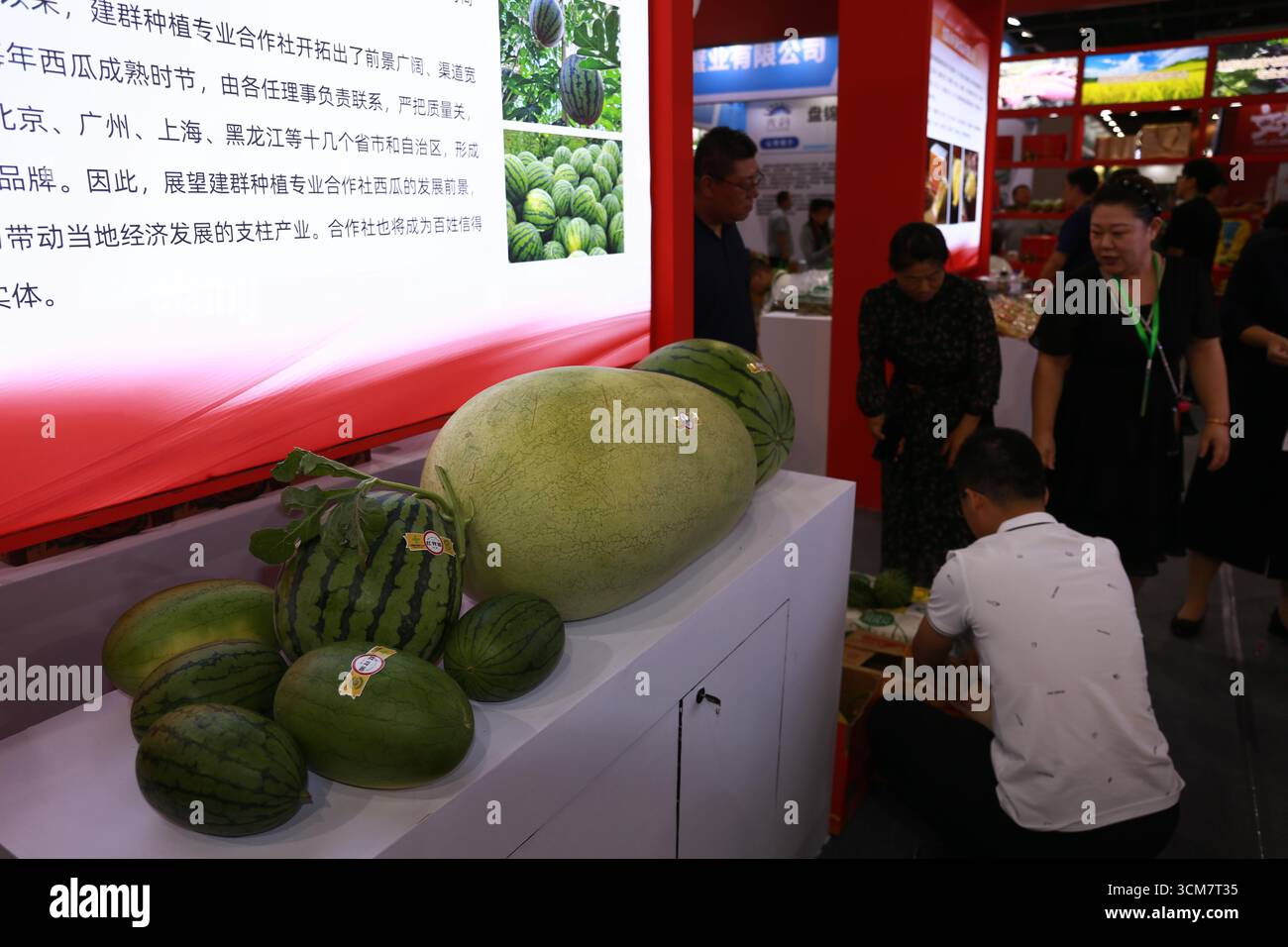 The 25th China (Shenyang) International Agricultural Expo opens in ...