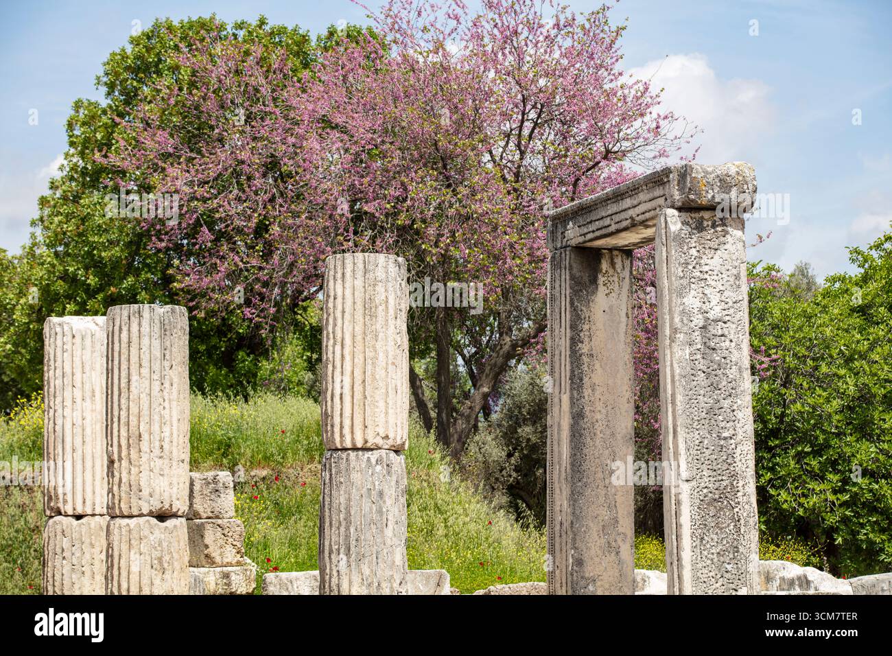 Ruins of the ancient sanctuary Lagina, Turkey Stock Photo - Alamy