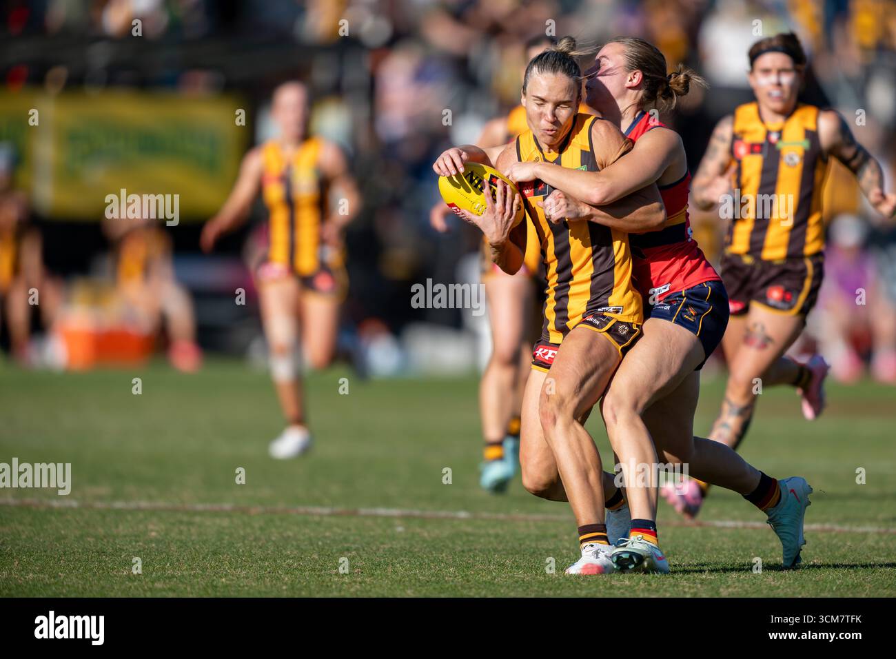 Emily Bates of Hawthorn seen in action during the AFLW Round 5 game ...