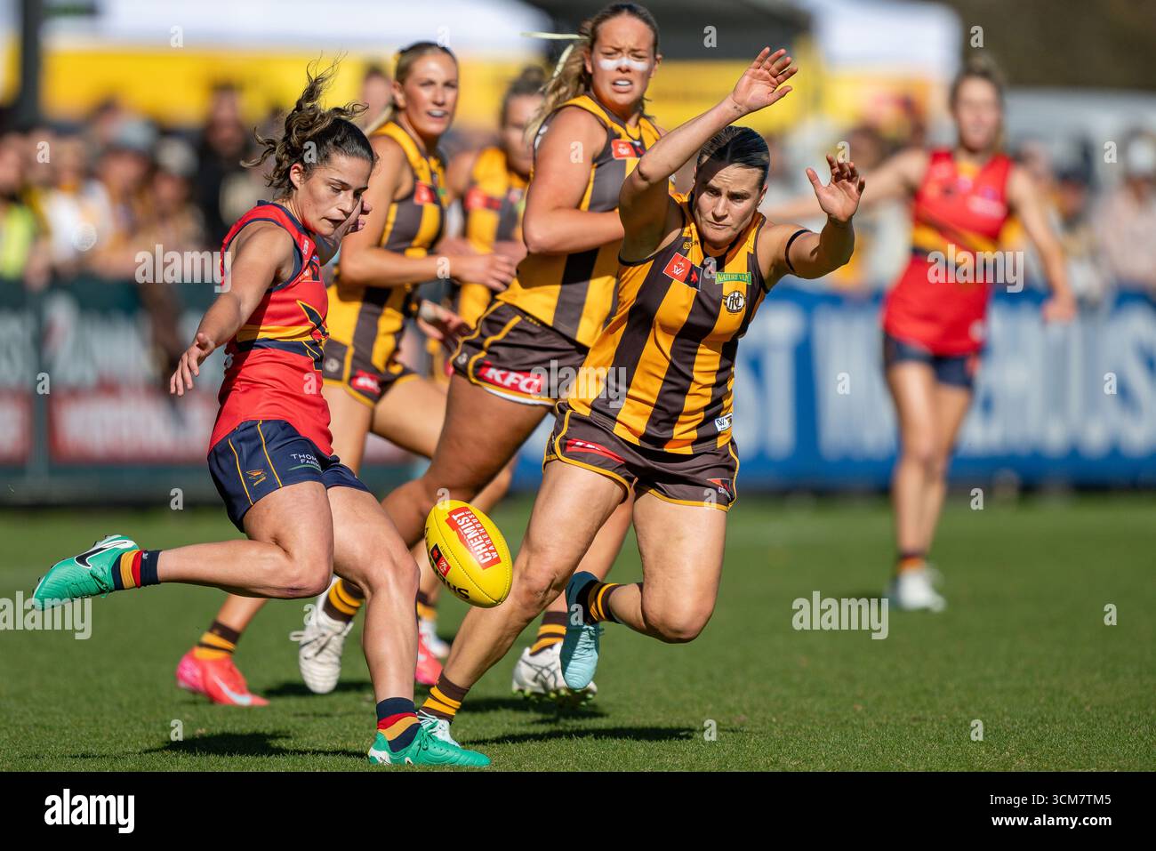 Greta bodey hi-res stock photography and images - Alamy