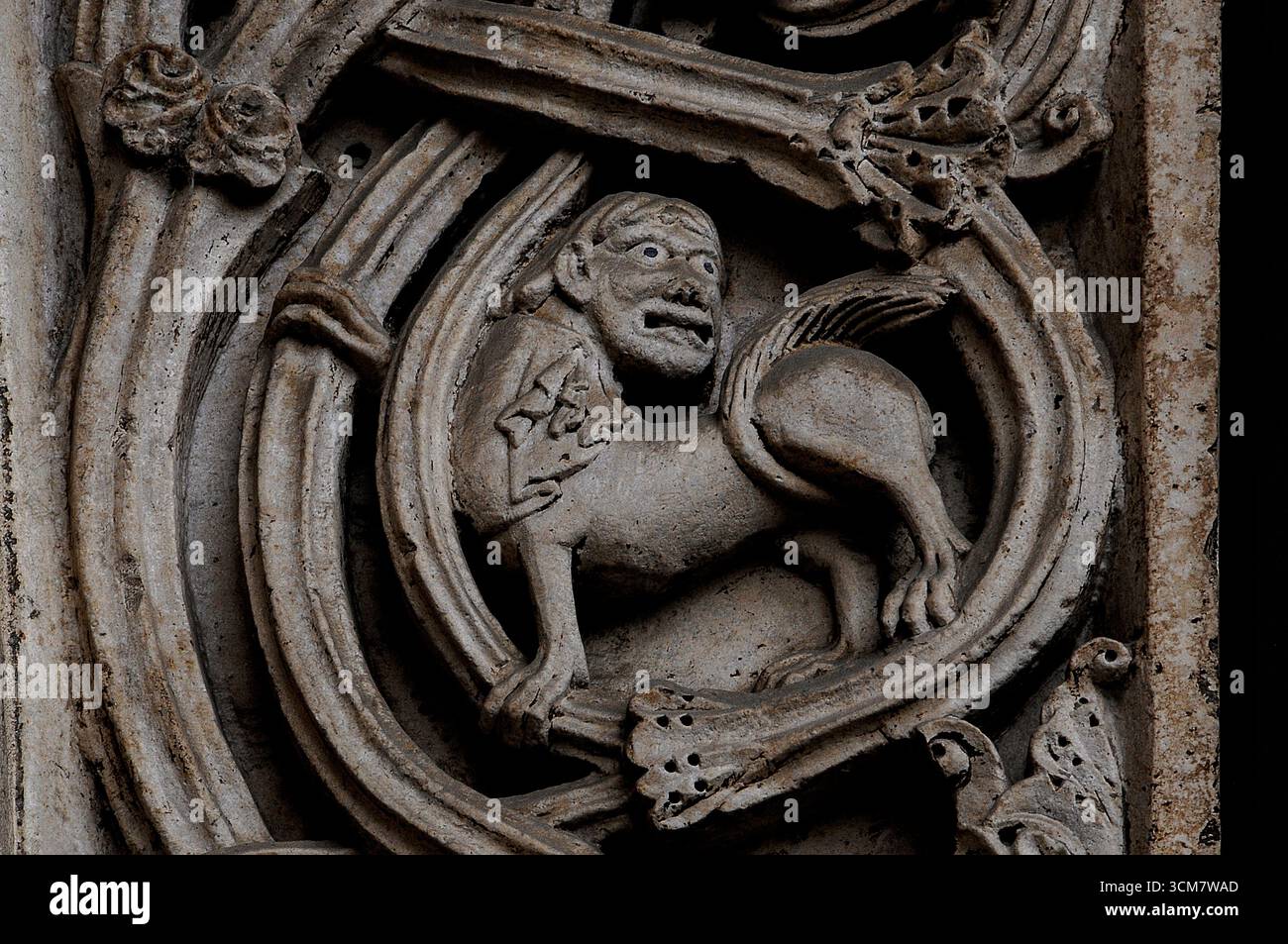 Manticore, mythical monster with face of man, body of lion and tail ...