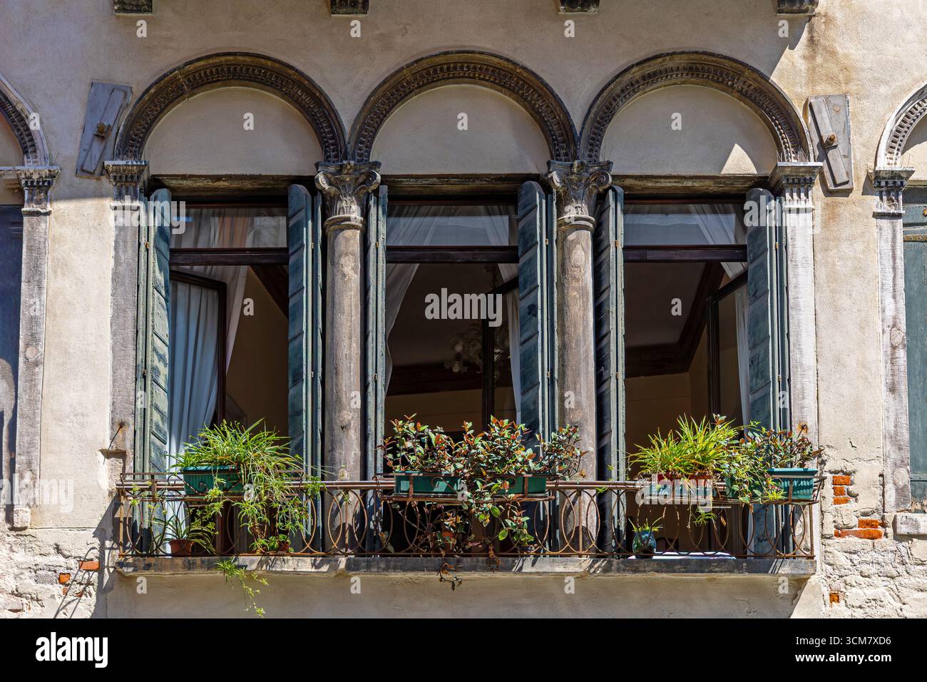 Old Venetian windows with balcony plants. Three arched windows in a ...
