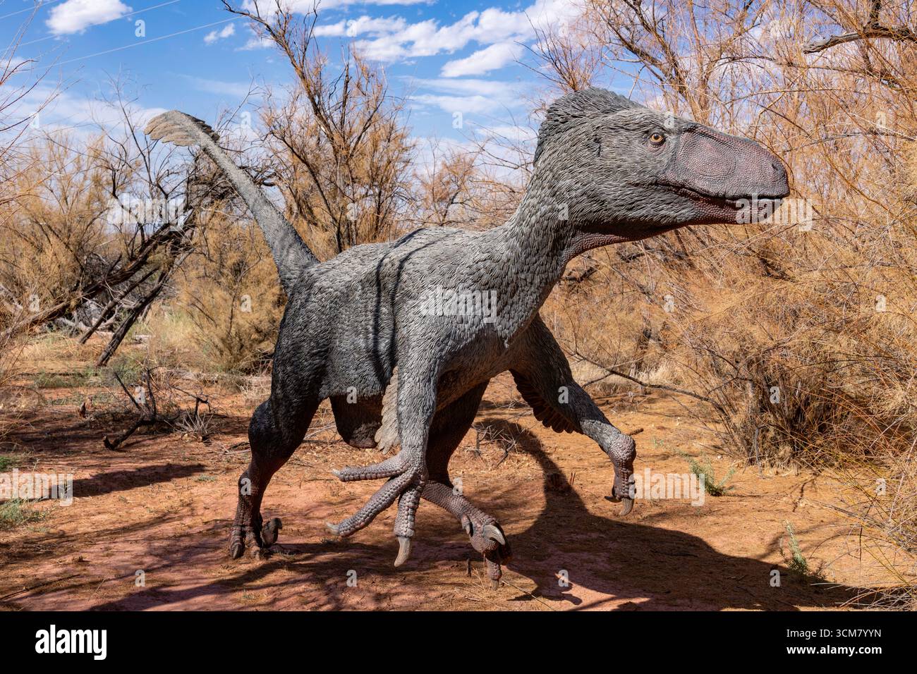 Life-size replica of the dinosaur Utahraptor ostrommaysi in the Moab ...