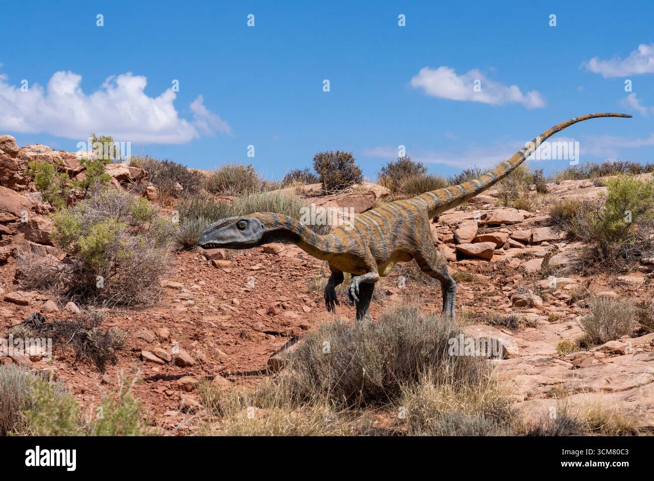 Life-size replica of Liliensternus liliensterni, a carnivorous dinosaur ...
