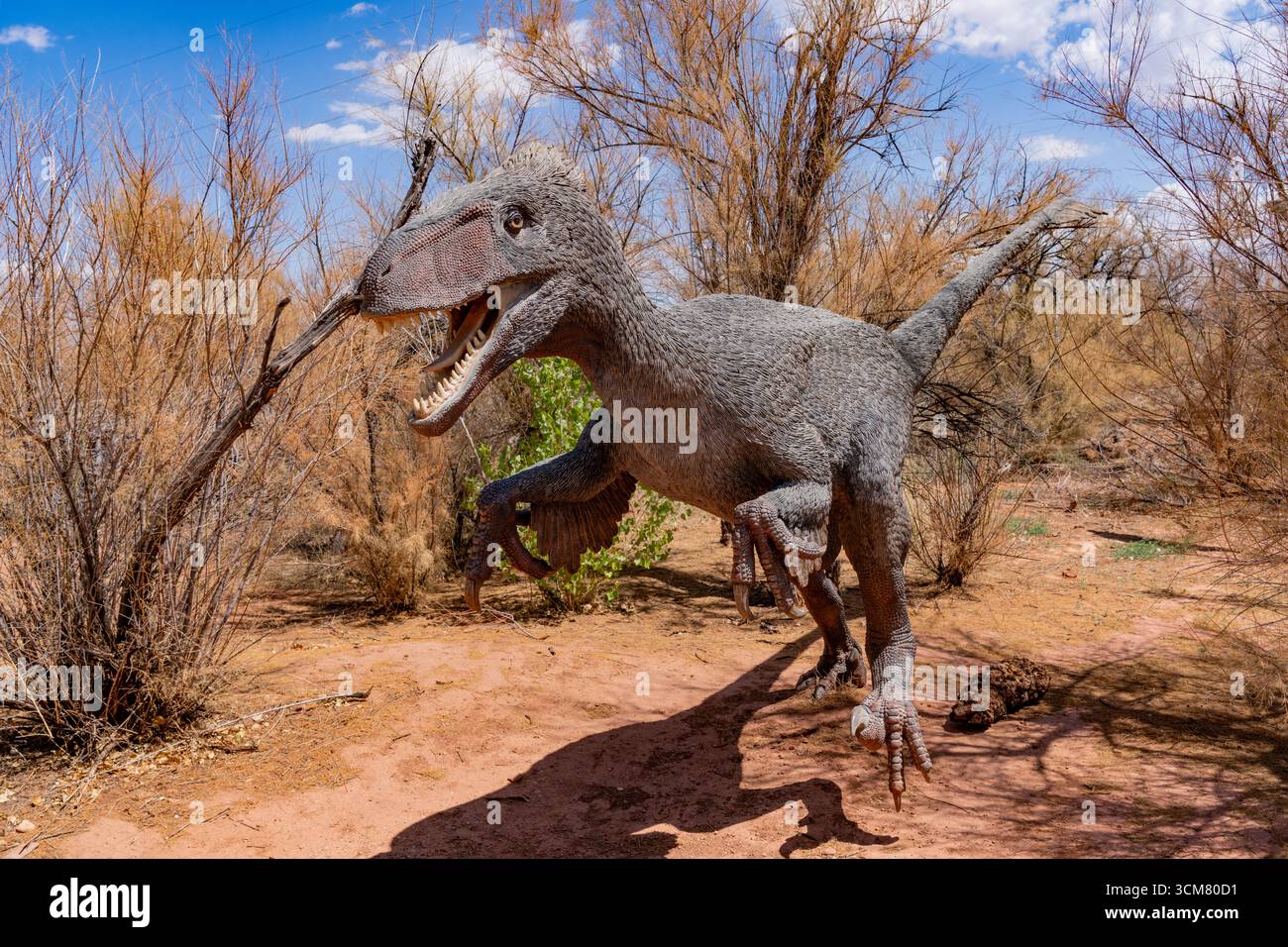 Life-size replica of the dinosaur Utahraptor ostrommaysi in the Moab ...