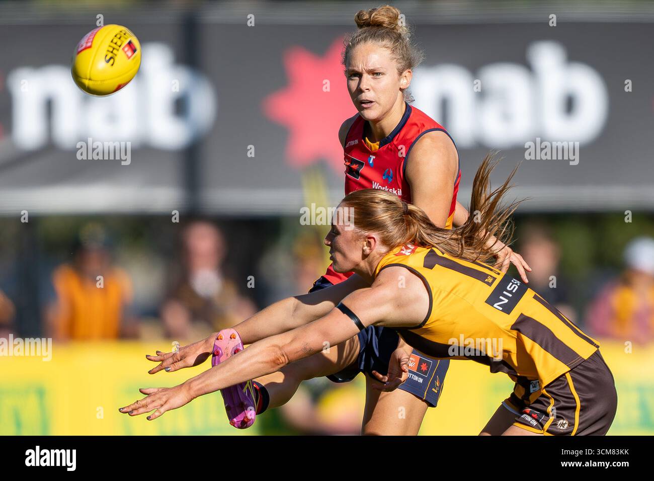 Mackenzie Eardley of Hawthorn and Zoe Prowse of Crows seen in action ...