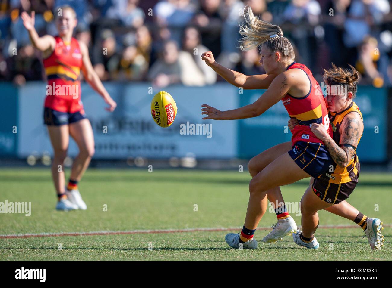 Tamara Smith of Hawthorn (R) seen in action during the AFLW Round 5 ...