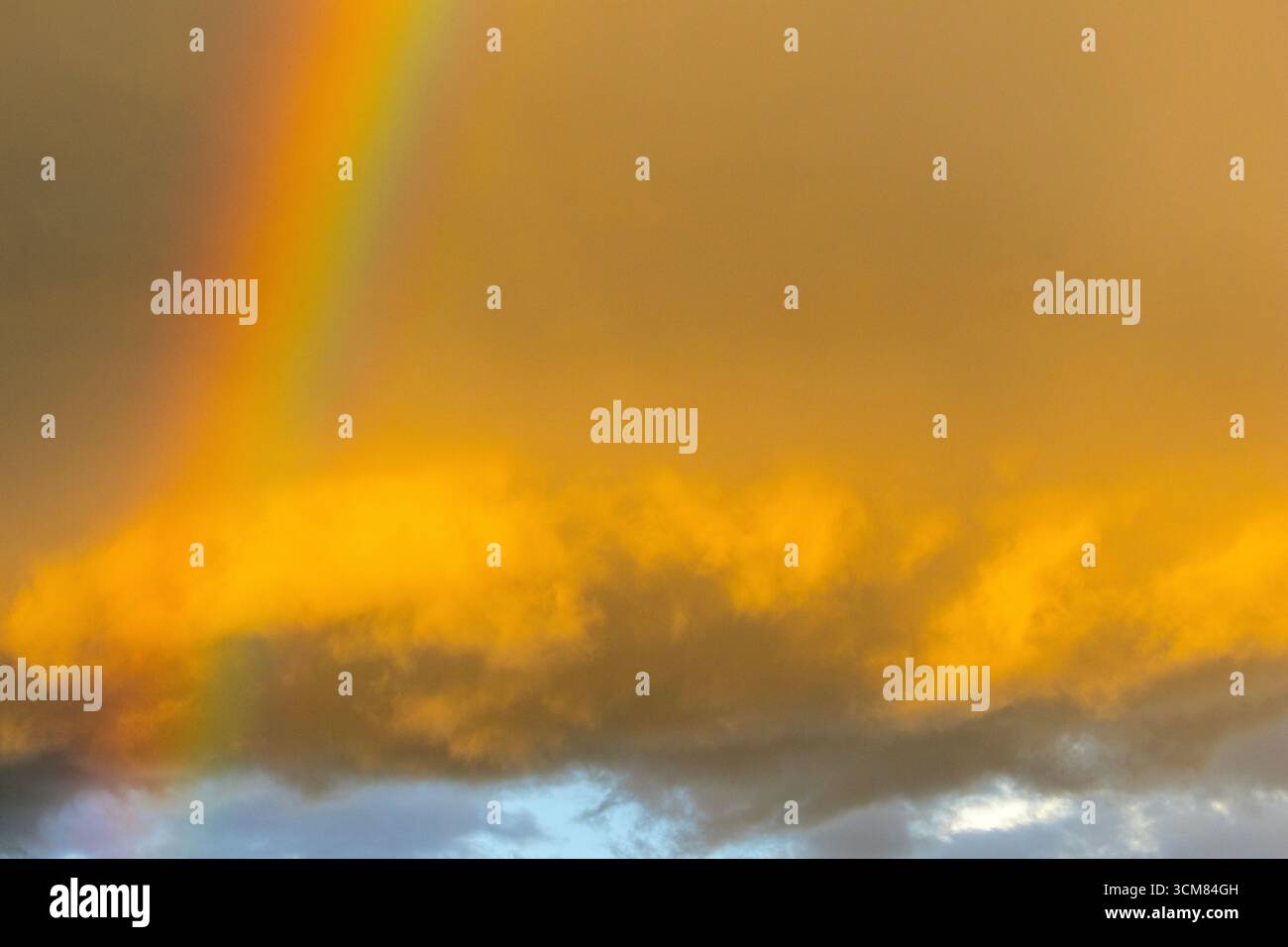 drops of rain disperse the sunlight at dusk and give the perfect ...
