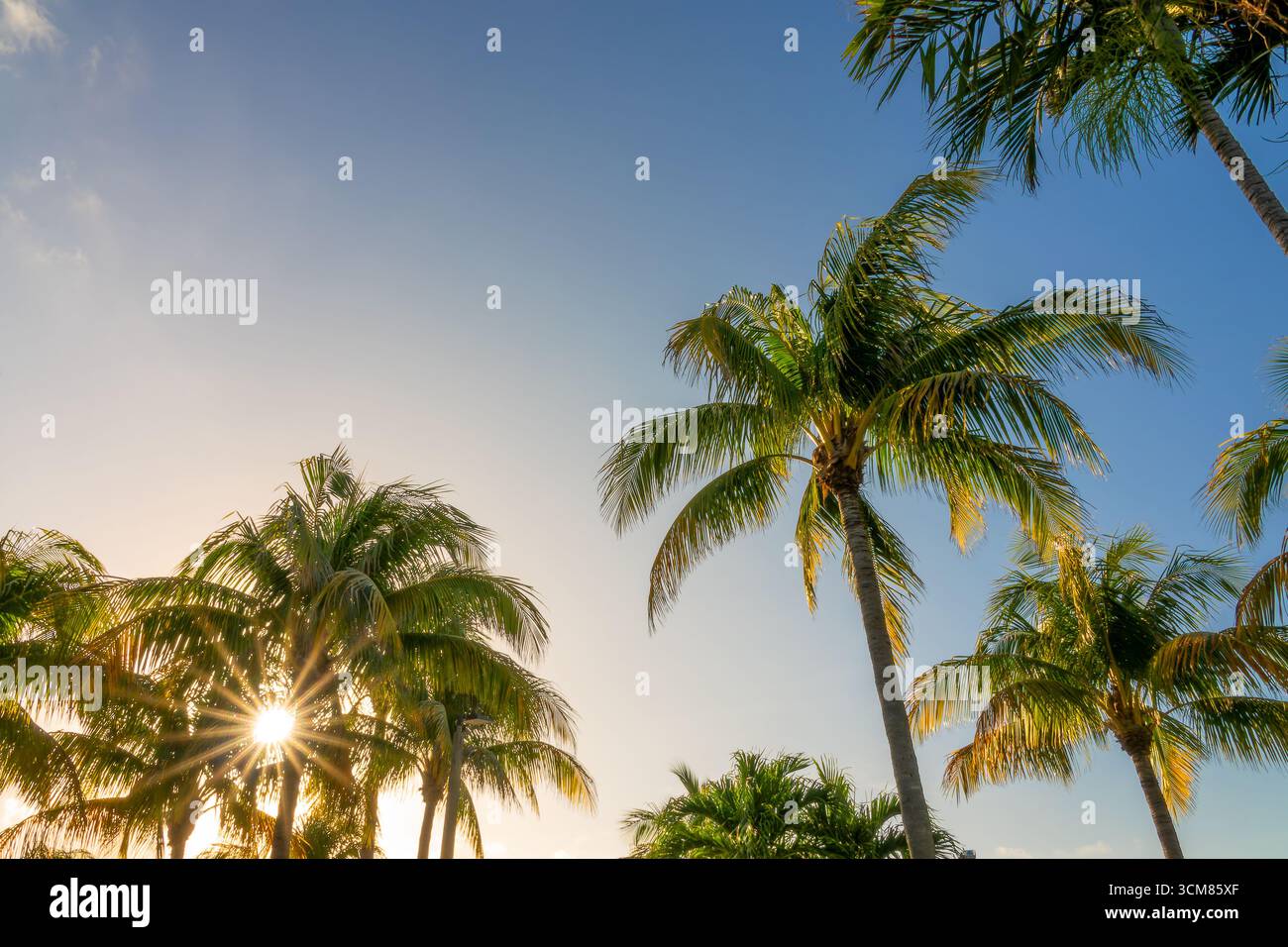 Tropical sunset in caribbean hi-res stock photography and images - Alamy