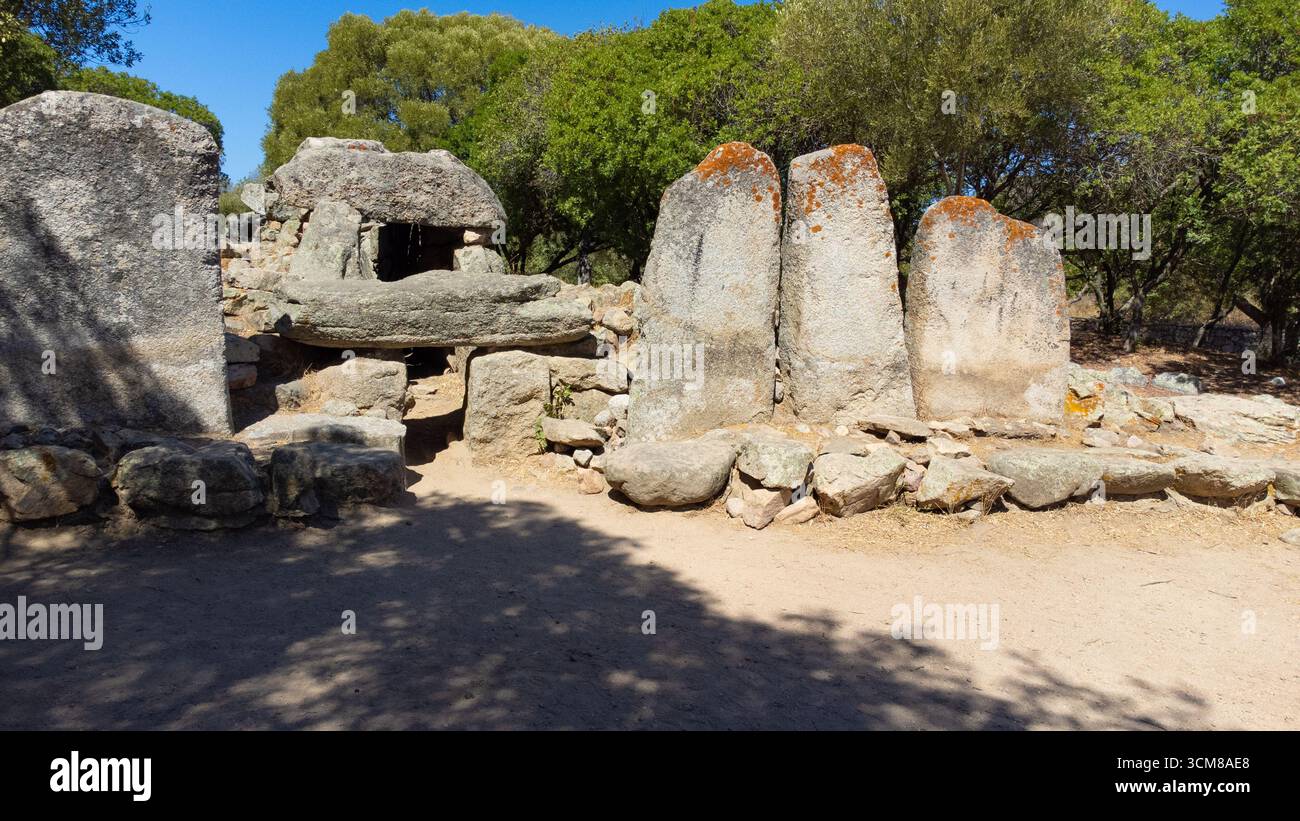 Prehistoric Giants' Tomb ruins surrounded by trees and dry landscape ...