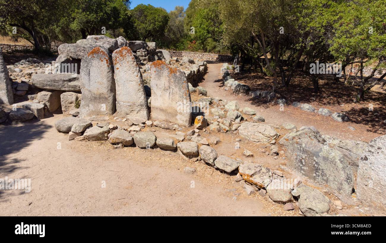 Prehistoric Giants' Tomb ruins surrounded by trees and dry landscape ...