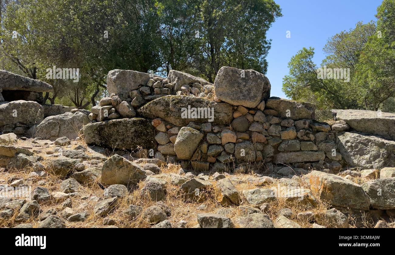 Prehistoric Giants' Tomb ruins surrounded by trees and dry landscape ...
