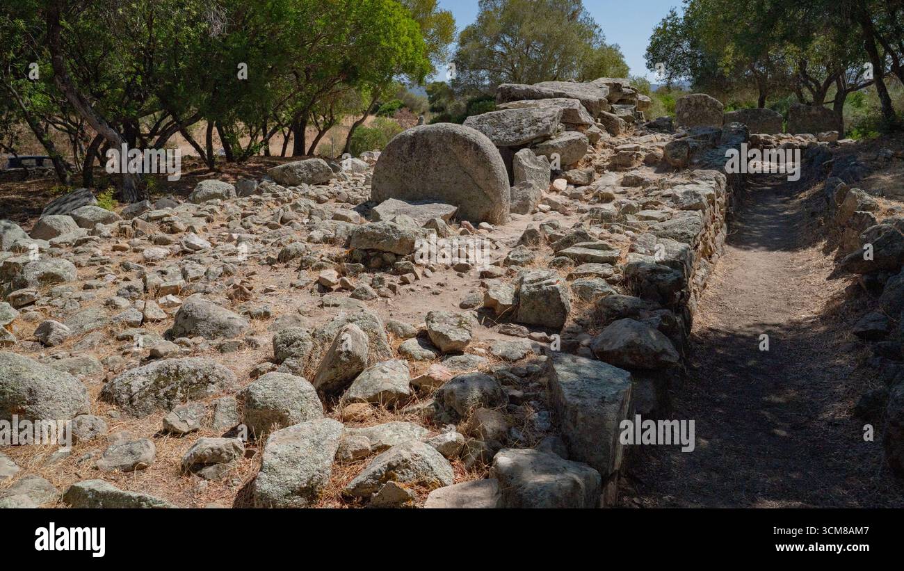 Prehistoric Giants' Tomb ruins surrounded by trees and dry landscape ...