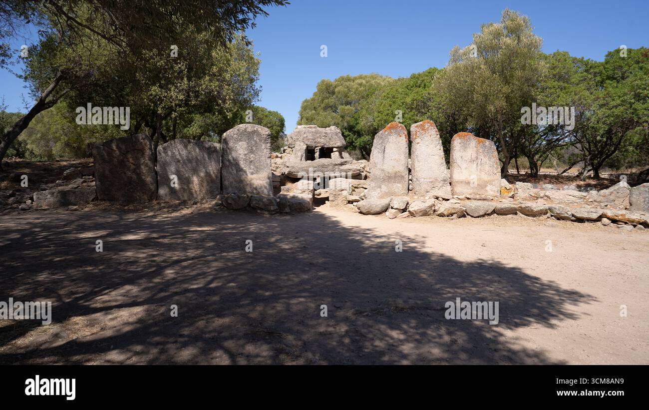 Prehistoric Giants' Tomb ruins surrounded by trees and dry landscape ...