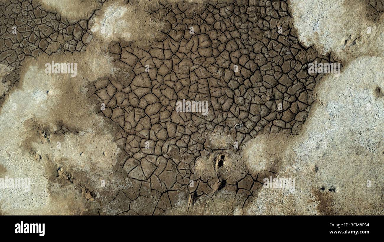 The image shows soil with clear drought cracks and a pronounced ...