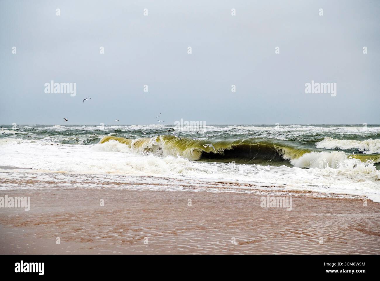 Surging waves hit coast hi-res stock photography and images - Alamy