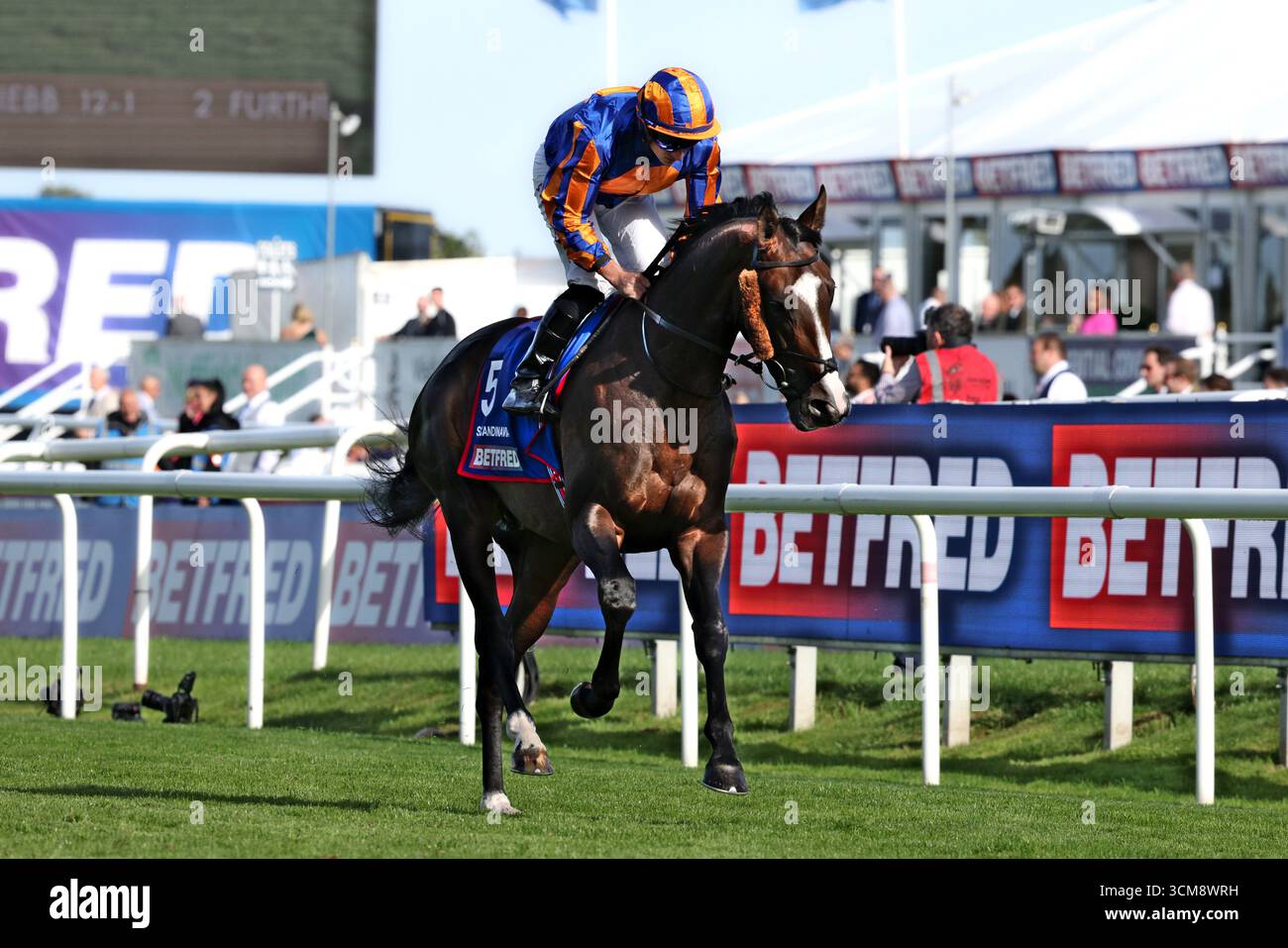 Tom marquand st leger hi-res stock photography and images - Alamy