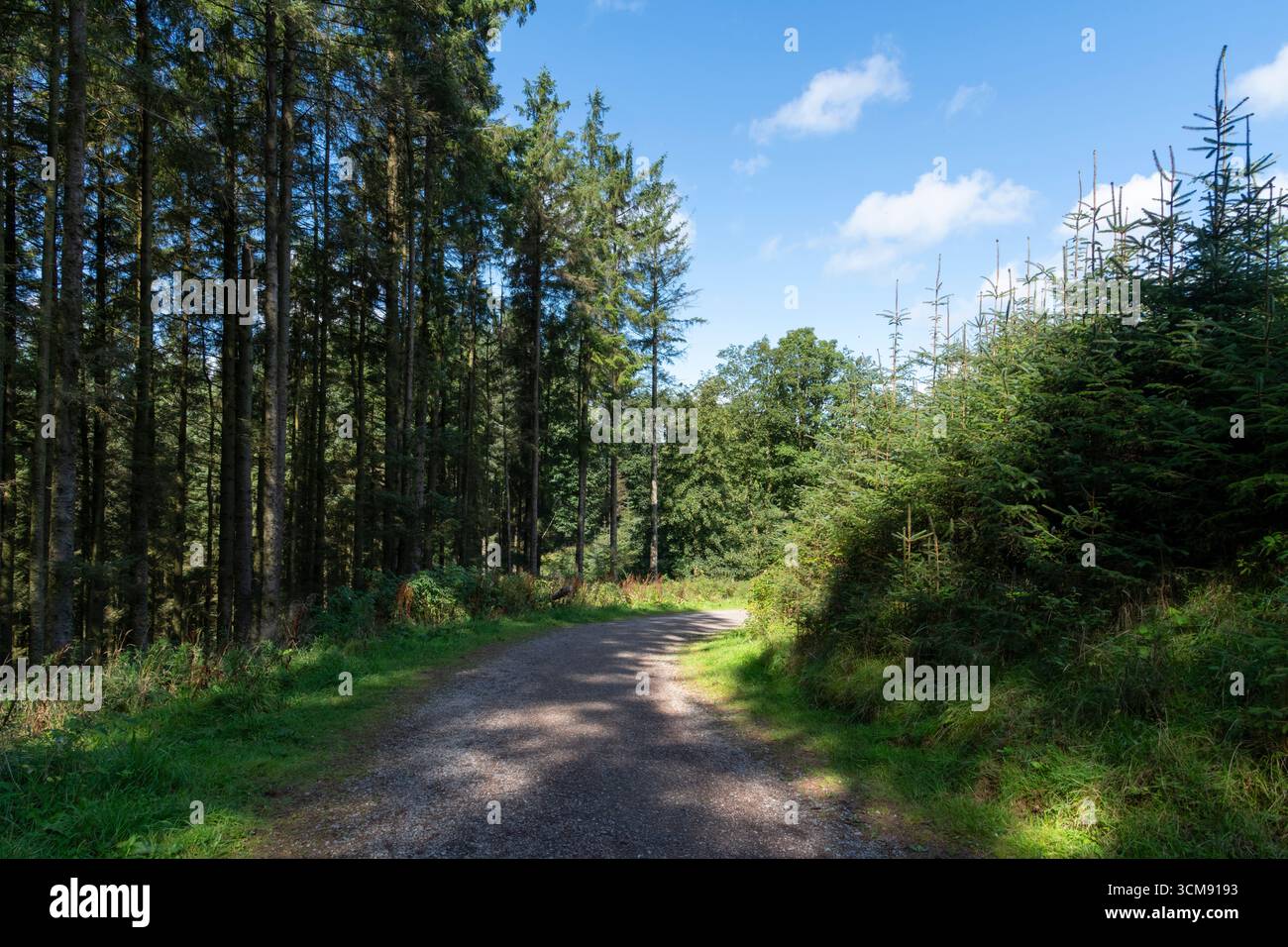 Macclesfield Forest in the hills of Cheshire and on the edge of the ...
