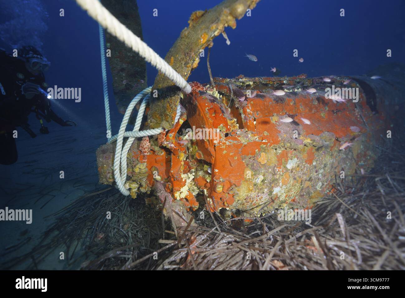 Underwater photo with diver, propeller of an aeroplane and rope in the ...