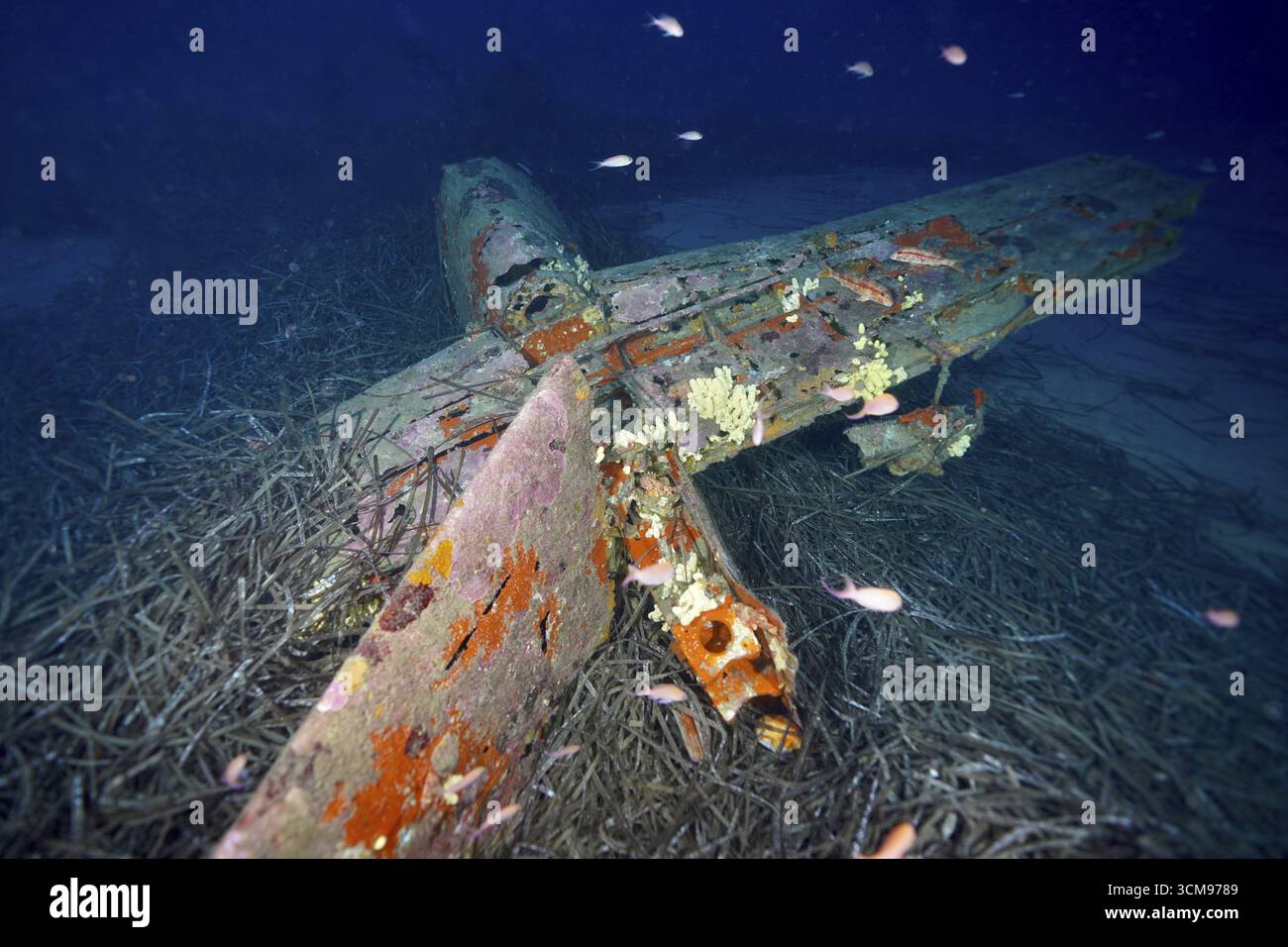 Old aircraft wreck on the seabed, covered with rust and marine growth ...