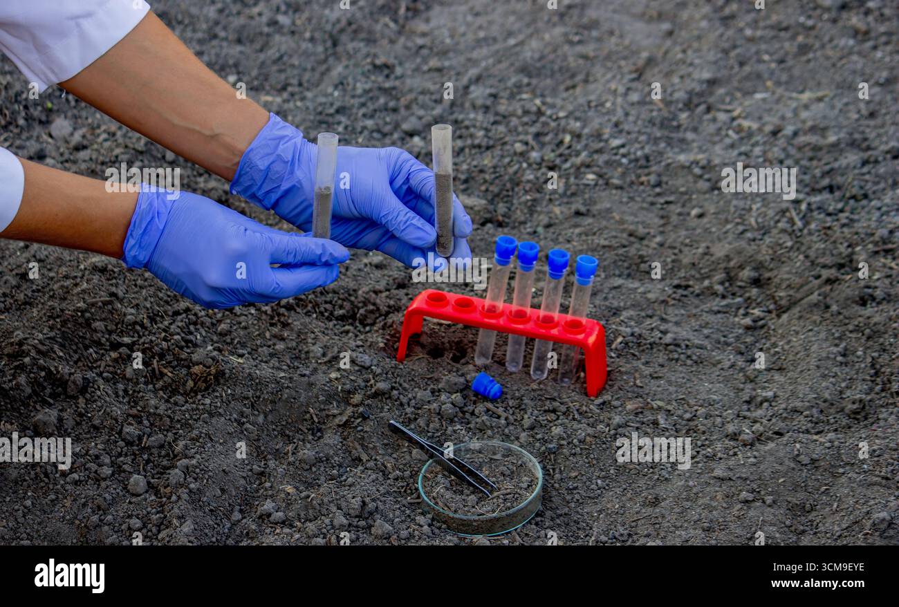A scientist takes soil into a test tube for analysis. Selective focus ...