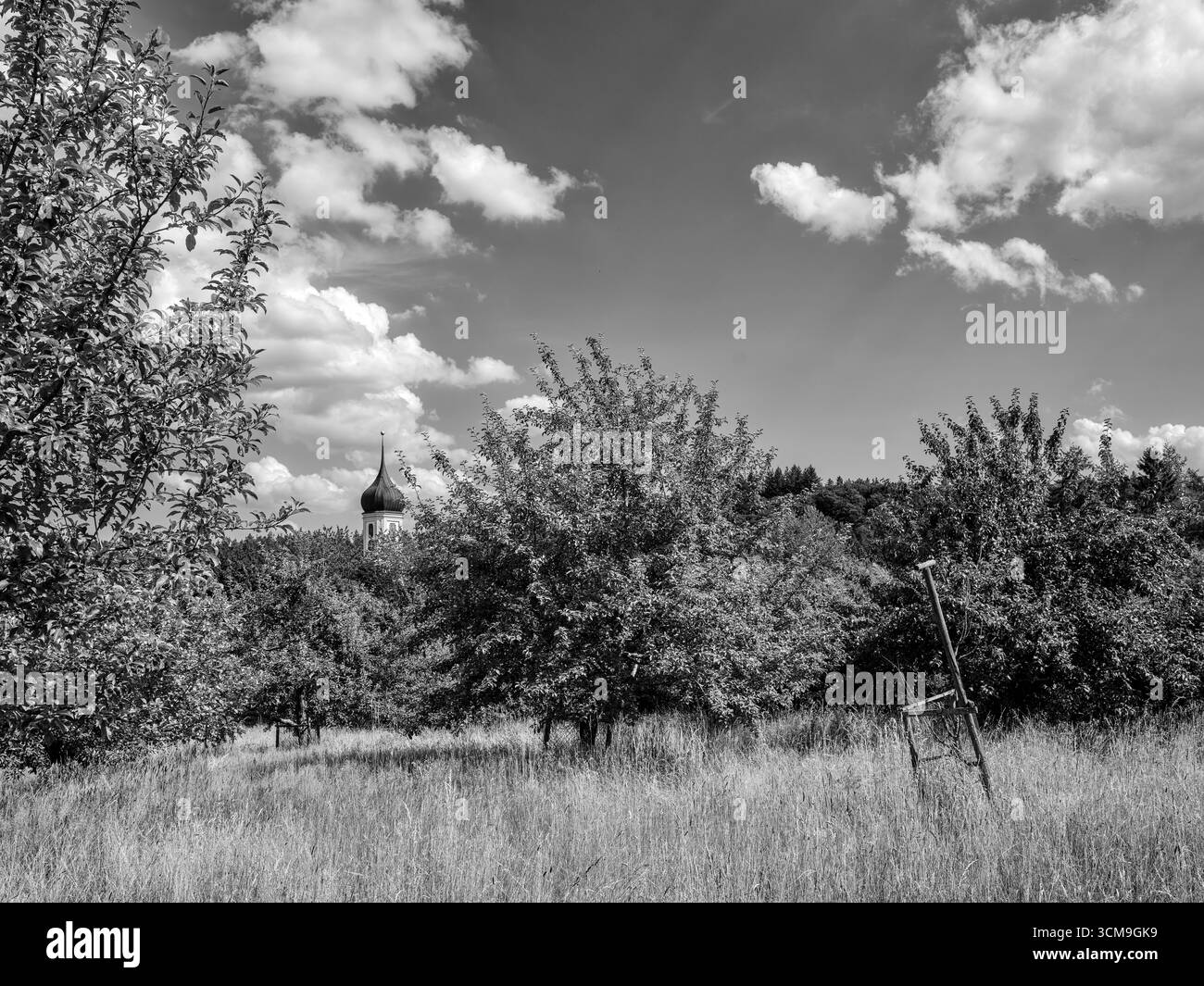 Near western group Black and White Stock Photos & Images - Alamy