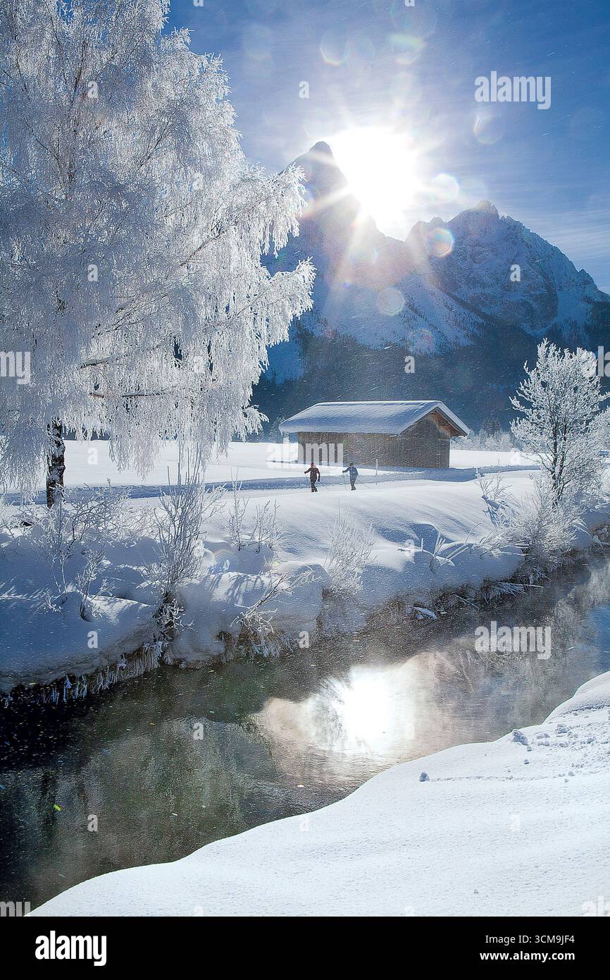 Winter wonderland near Ehrwald with Sonnenspitze, Tyrol Stock Photo - Alamy