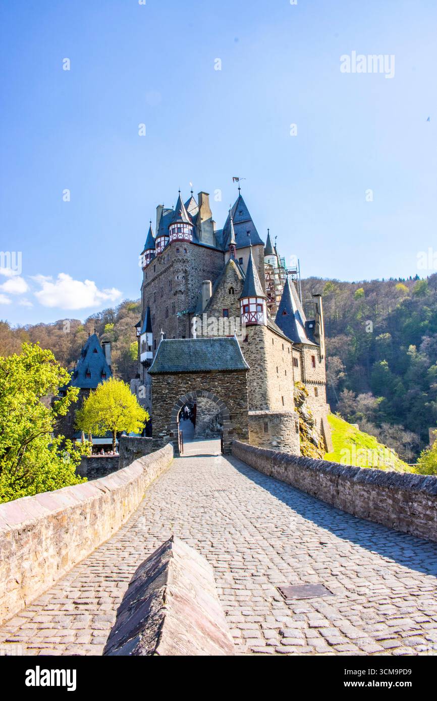 Castle in the valley surrounded by a green beech forest, taken in the ...