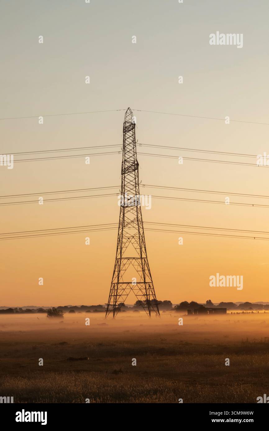 England, Kent, Romney Marsh, Dawn with Electricity Pylon and Sheep in ...