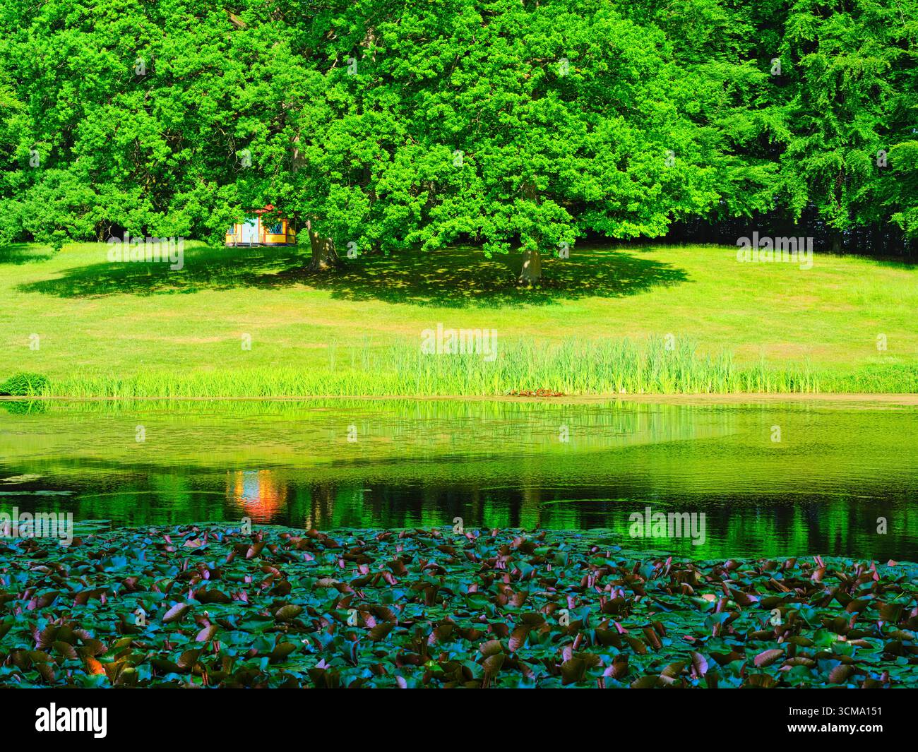 Europe, Denmark, Mön Island, UNESCO biosphere reserve, Danish South Sea ...