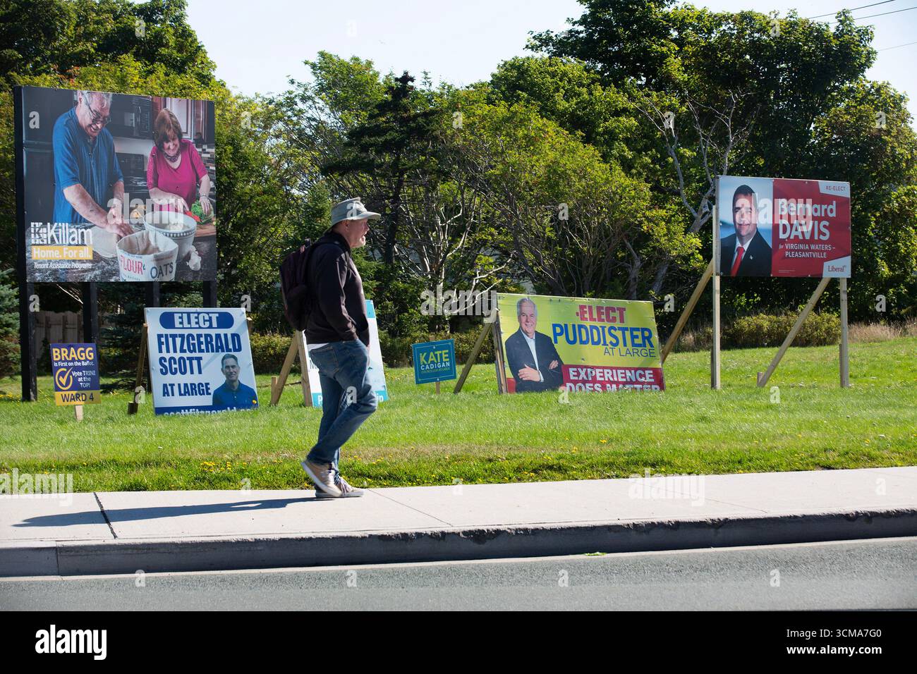 Provincial election signs shown around St. John's on early Monday ...