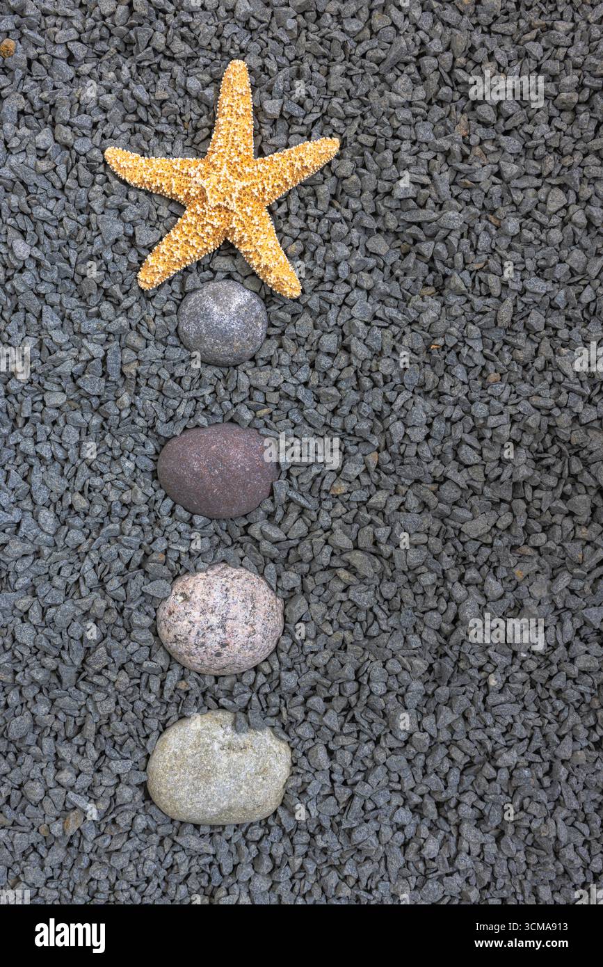 Objects from nature, starfish, four stones, pebbles Stock Photo - Alamy