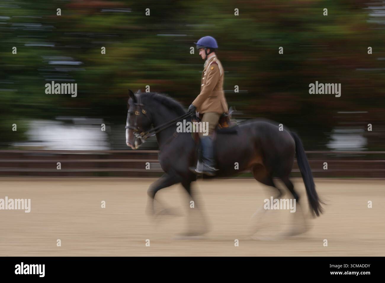A soldier of Household Cavalry Mounted Regiment rides a horse at ...