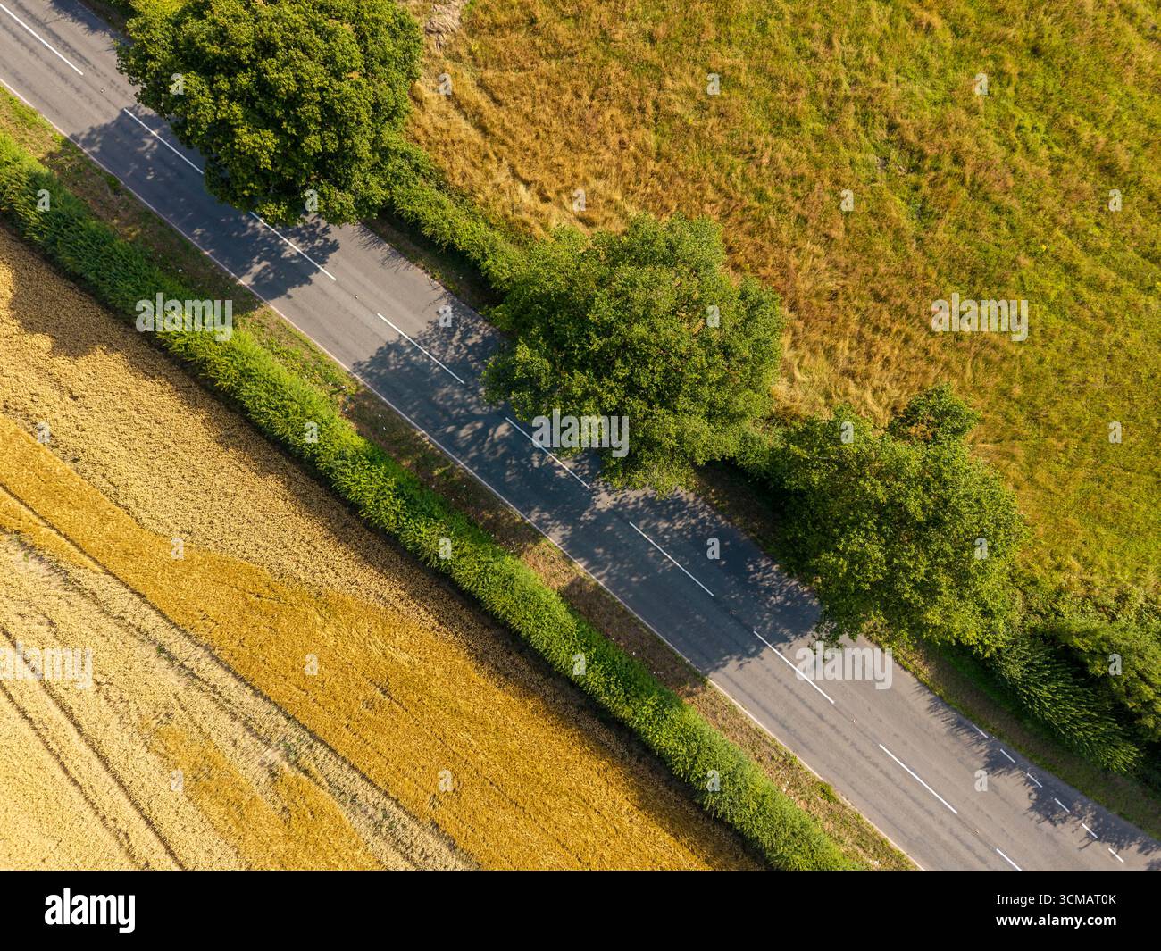 Overhead aerial view shows a rural road running between farm fields in ...