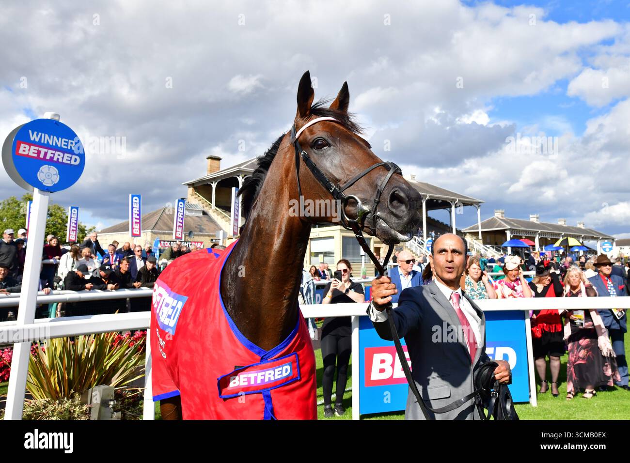 Sweet william horse racing hi-res stock photography and images - Alamy