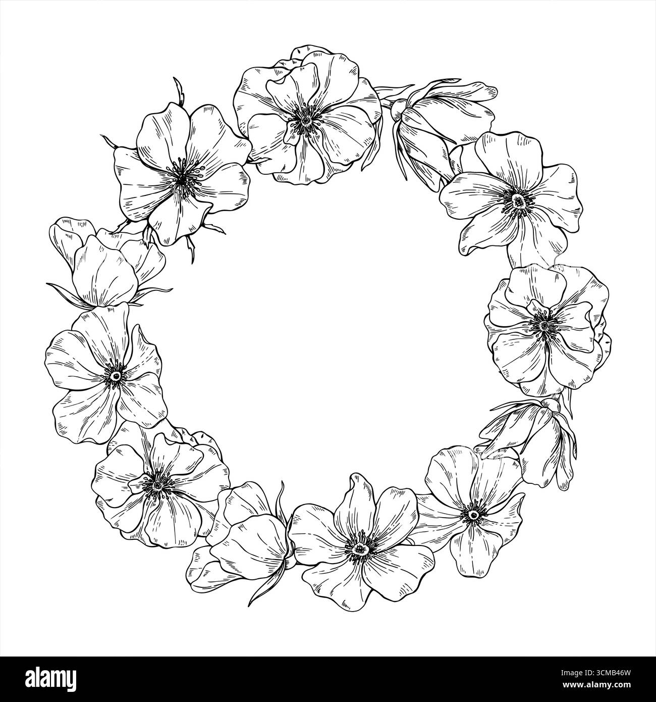Monochrome blooming flower heads vector wreath painting by black inks ...