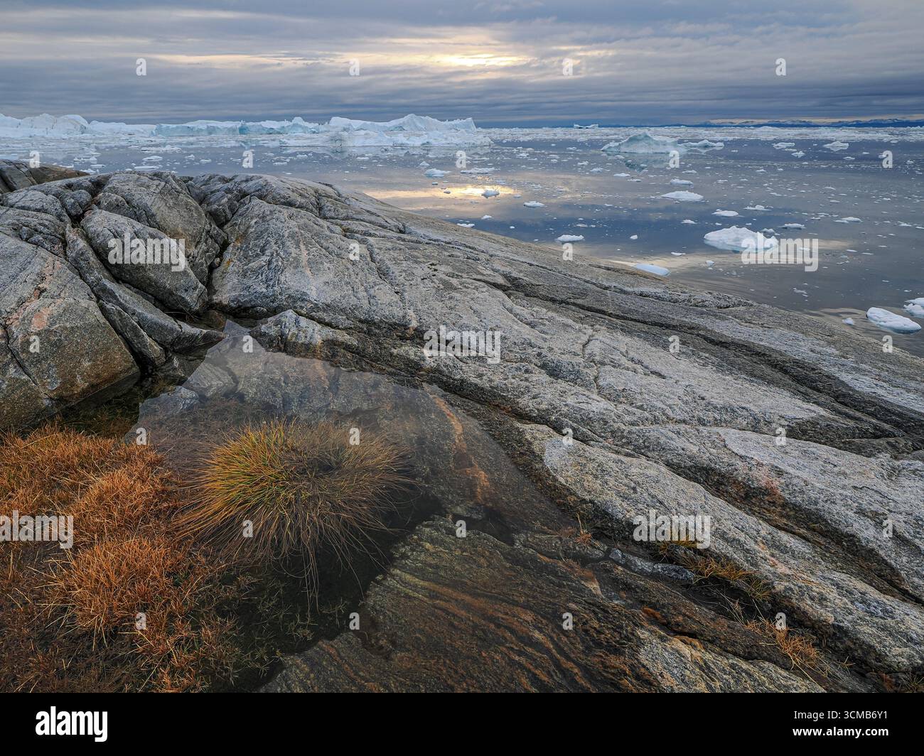 Coastal arctic scene with frozen sea, tundra vegetation, and icebergs ...
