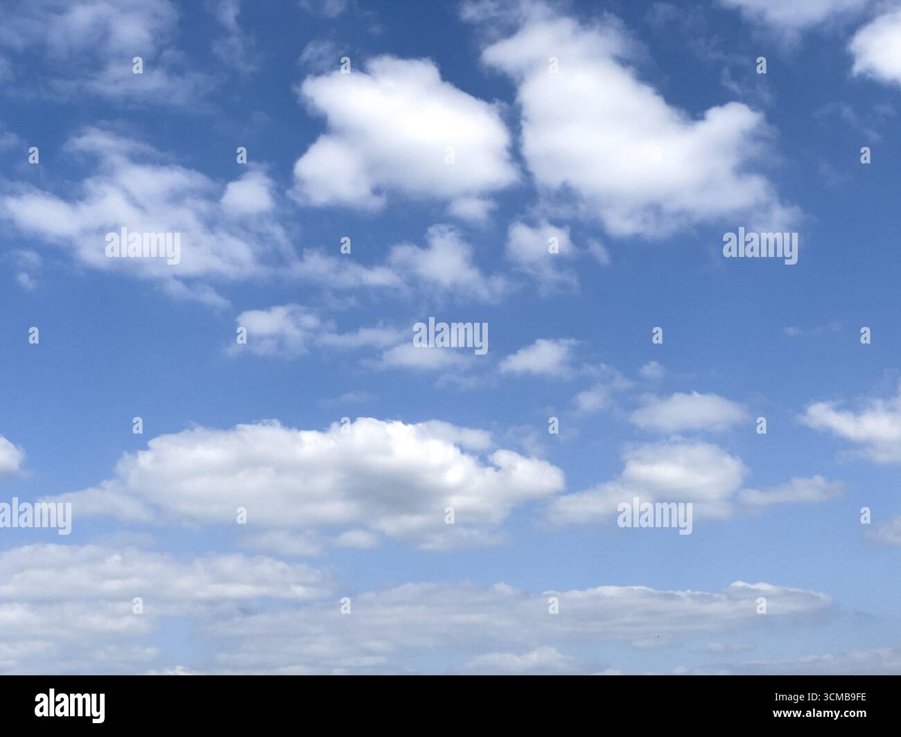 Different types of white cumulus clouds under blue sky above ...