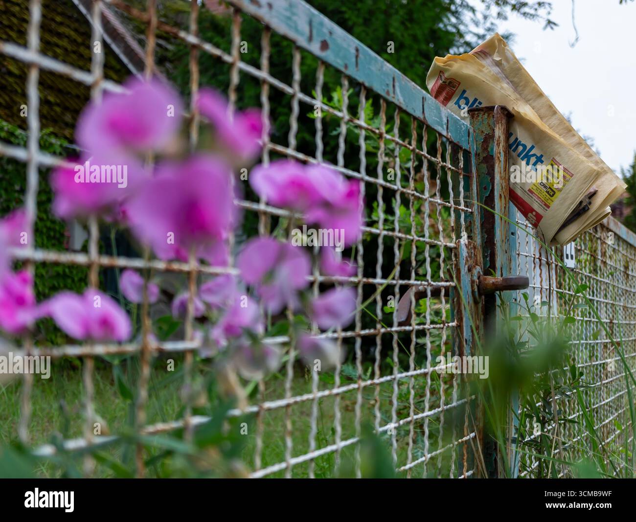 Old Newspaper Stuck in Rusty Fence of Abandoned Property as Symbol of ...
