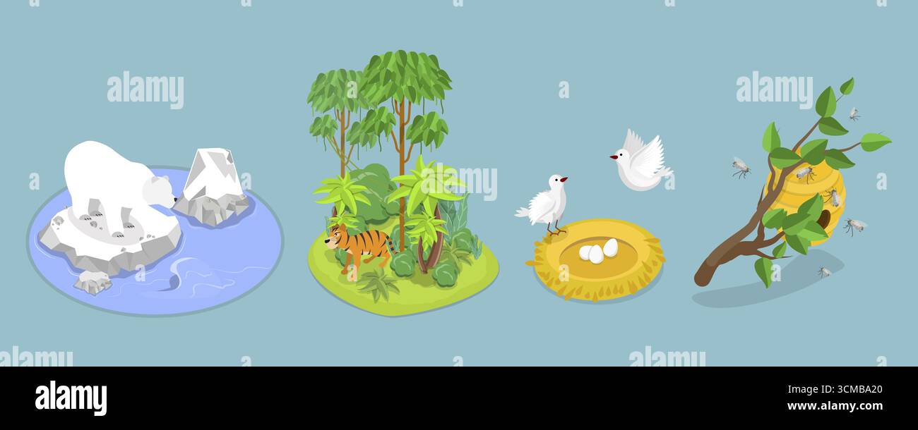 3D Isometric Flat Illustration of Wild Animals Habitat Types ...