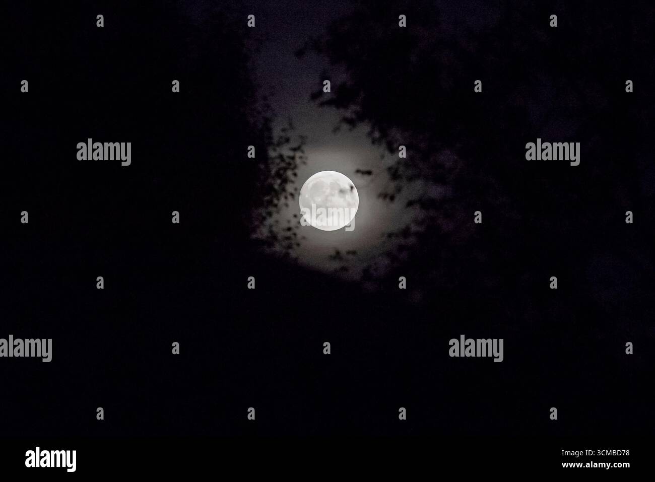 Full moon, harvest moon, corn moon, September, 2025, UK Stock Photo - Alamy