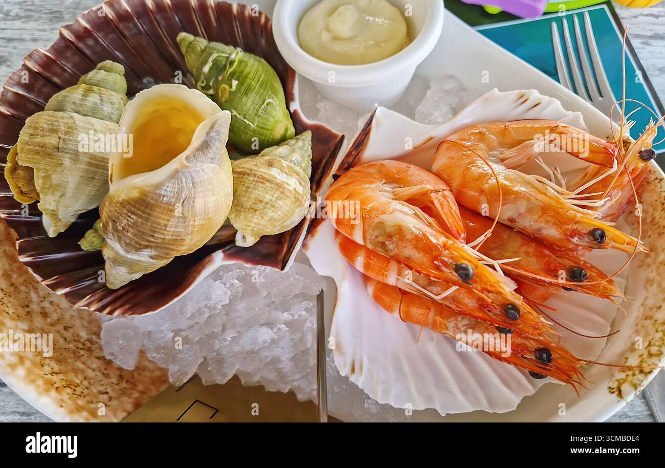 Snails sea food hi-res stock photography and images - Alamy