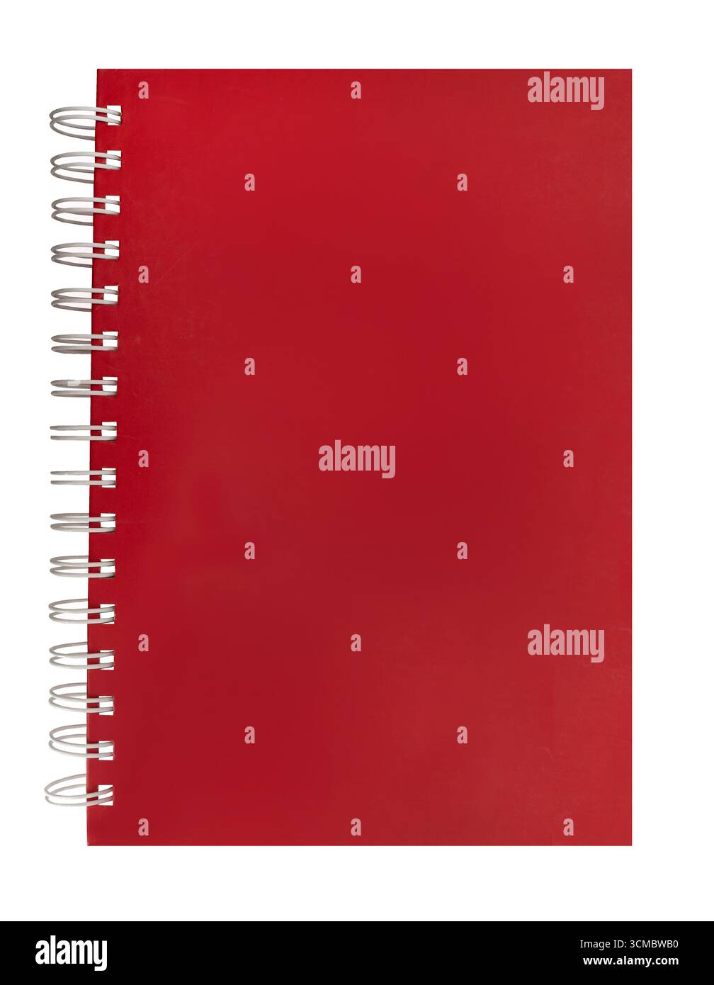 Spine education Cut Out Stock Images & Pictures - Alamy