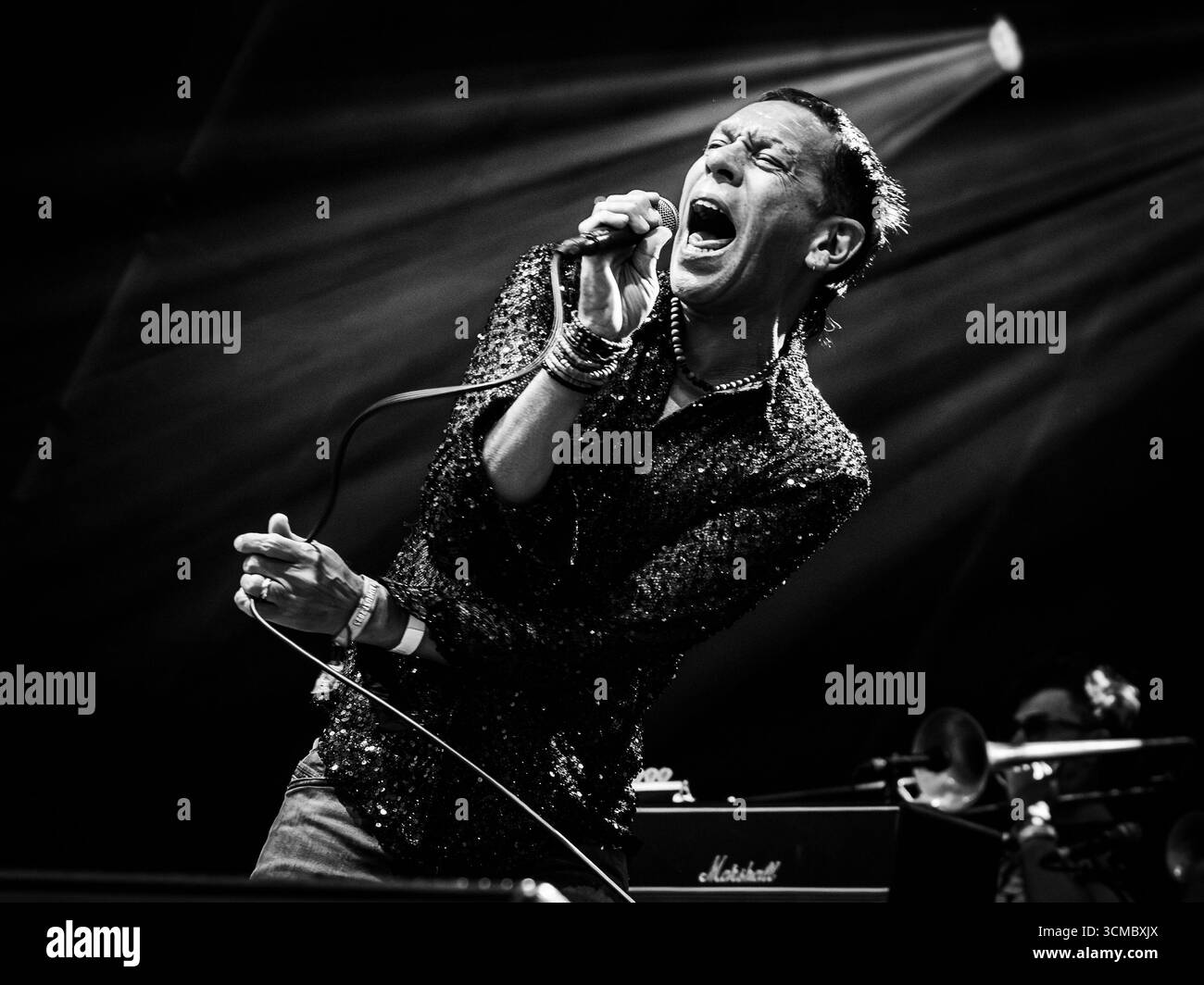 Shed Seven at Beautiful Days Festival 2025 Stock Photo - Alamy